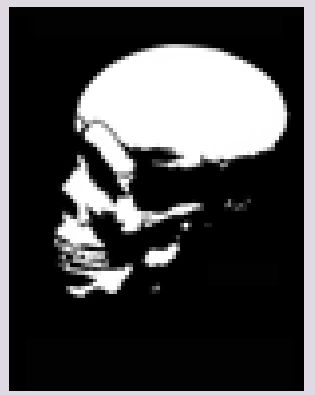 Skull Series 1 Stencils - Pack 7 - Collision Hub
